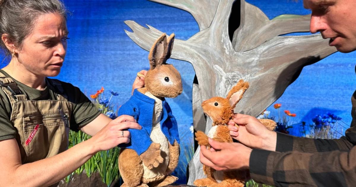 | Halsnæs Bibliotekerne